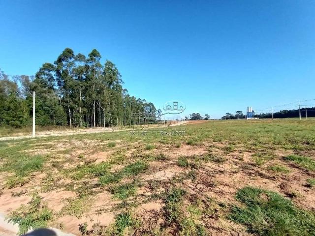 Terreno / Lote para Venda em Nova Santa Rita/RS California