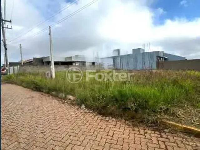 Terreno / Lote para Venda em Nova Santa Rita/RS California