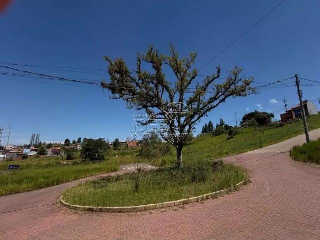 Terreno / Lote para Venda em Nova Santa Rita/RS Centro
