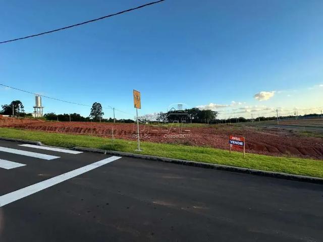 Terreno / Lote para Venda em Nova Santa Rita/RS Centro