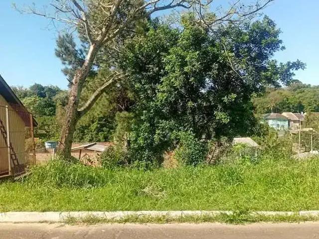 Terreno / Lote para Venda em Nova Santa Rita/RS Centro