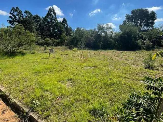 Terreno / Lote para Venda em Nova Santa Rita/RS Centro