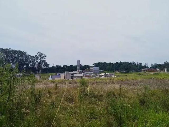 Terreno / Lote para Venda em Nova Santa Rita/RS Centro