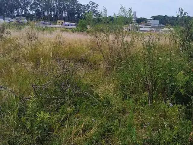 Terreno / Lote para Venda em Nova Santa Rita/RS Centro