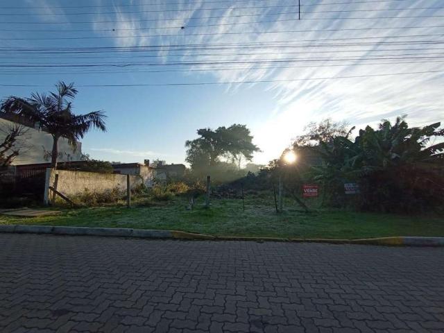 Terreno / Lote para Venda em Nova Santa Rita/RS Centro