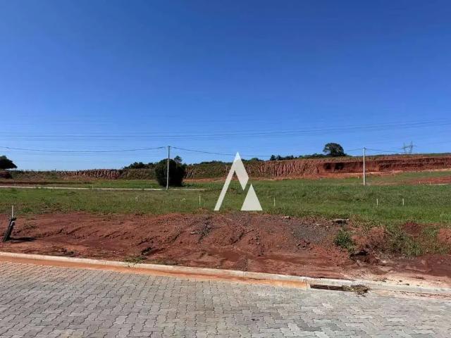 Terreno / Lote para Venda em Nova Santa Rita/RS Centro