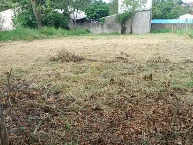Terreno / Lote para Venda em Nova Santa Rita/RS Centro