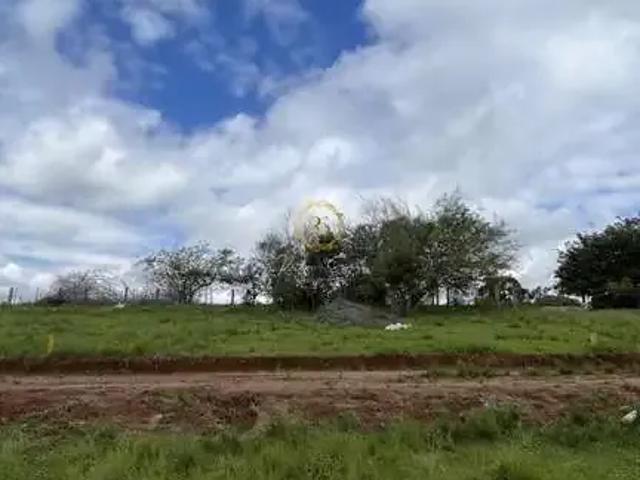Terreno / Lote para Venda em Nova Santa Rita/RS Floresta