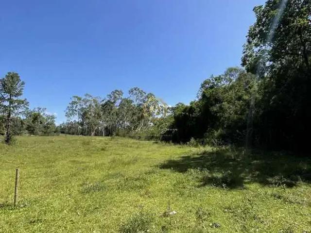 Terreno / Lote para Venda em Nova Santa Rita/RS Sanga Funda