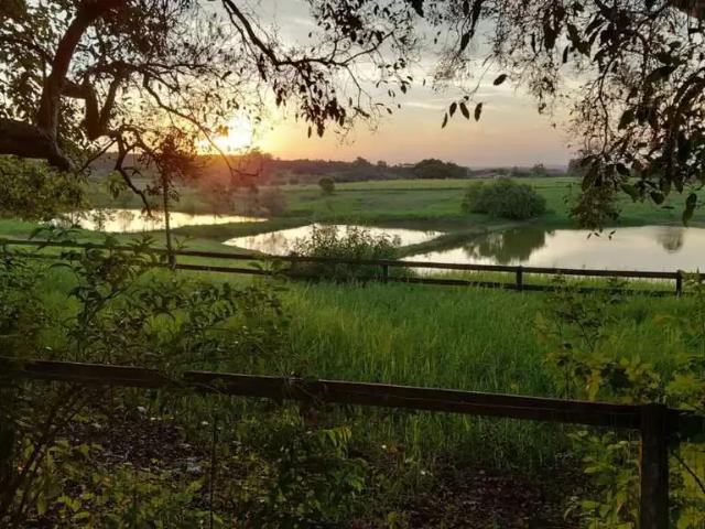 Terreno / Lote para Venda em Nova Santa Rita/RS Sanga Funda