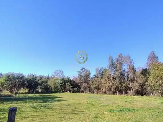 Terreno / Lote para Venda em Nova Santa Rita/RS Sanga Funda