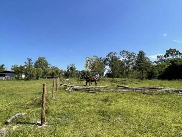 Terreno / Lote para Venda em Nova Santa Rita/RS Sanga Funda