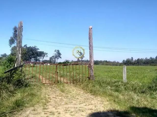Terreno / Lote para Venda em Nova Santa Rita/RS Sanga Funda