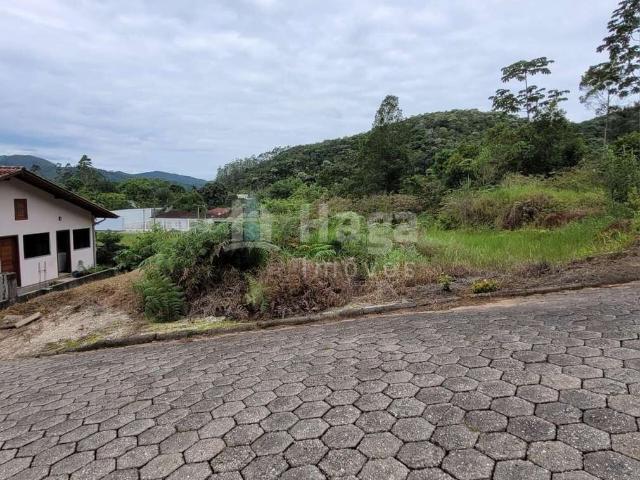 Terreno / Lote para Venda em Nova Trento/SC Centro