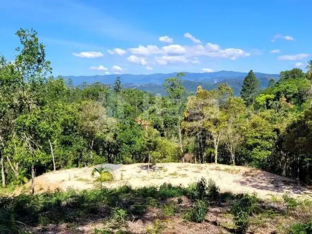 Terreno / Lote para Venda em Nova Trento/SC Centro