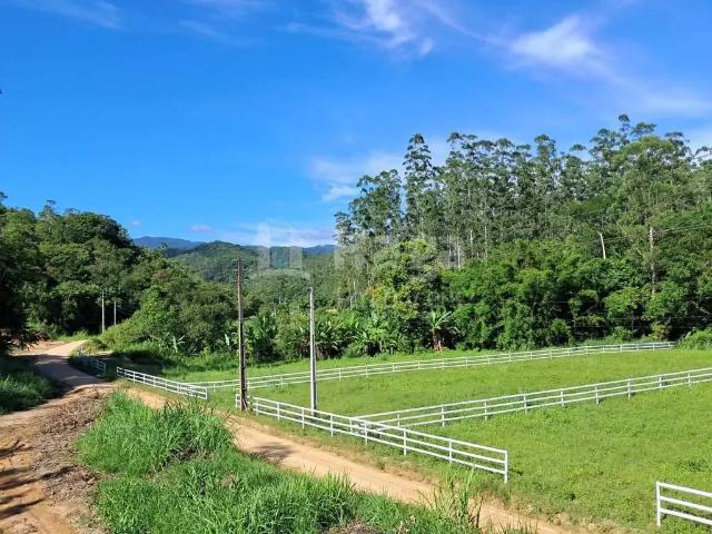 Terreno / Lote para Venda em Nova Trento/SC Espraiado