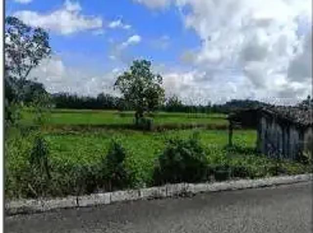 Terreno / Lote para Venda em Nova Veneza/SC Centro