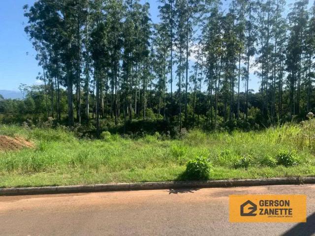 Terreno / Lote para Venda em Nova Veneza/SC Centro