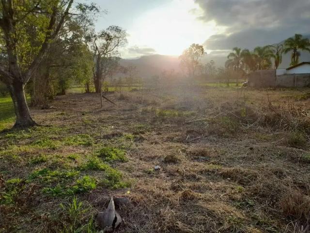 Terreno / Lote para Venda em Nova Veneza/SC Vila Maria