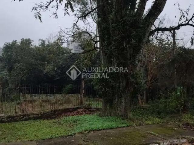 Terreno / Lote para Venda em Novo Hamburgo/RS Centro