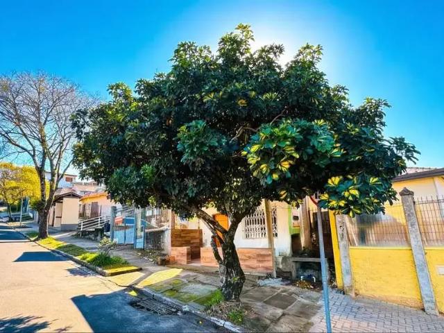 Terreno / Lote para Venda em Novo Hamburgo/RS Centro