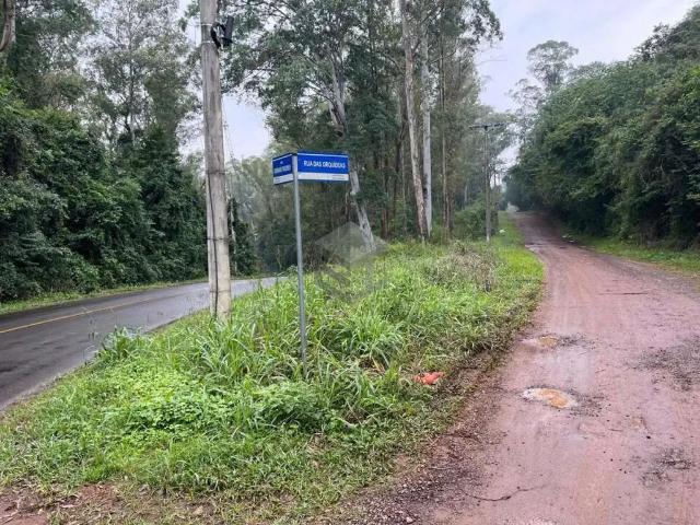 Terreno / Lote para Venda em Novo Hamburgo/RS Alpes do Vale