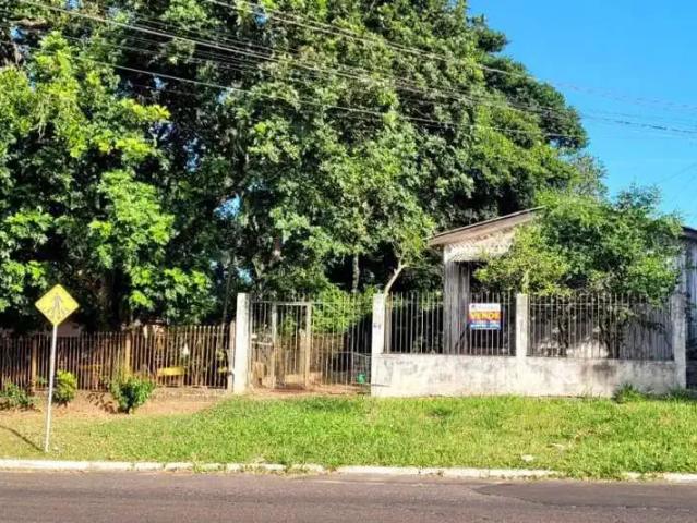 Terreno / Lote para Venda em Novo Hamburgo/RS Boa Saúde