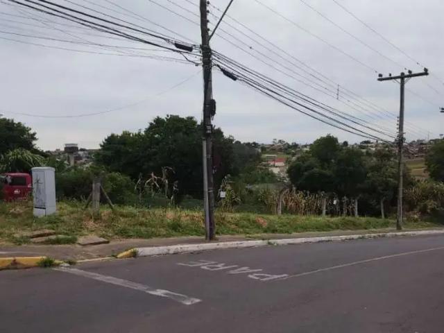 Terreno / Lote para Venda em Novo Hamburgo/RS Boa Saúde
