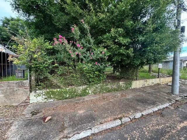 Terreno / Lote para Venda em Novo Hamburgo/RS Boa Vista
