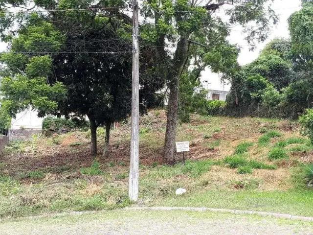 Terreno / Lote para Venda em Novo Hamburgo/RS Boa Vista