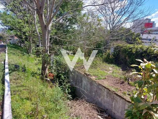 Terreno / Lote para Venda em Novo Hamburgo/RS Boa Vista