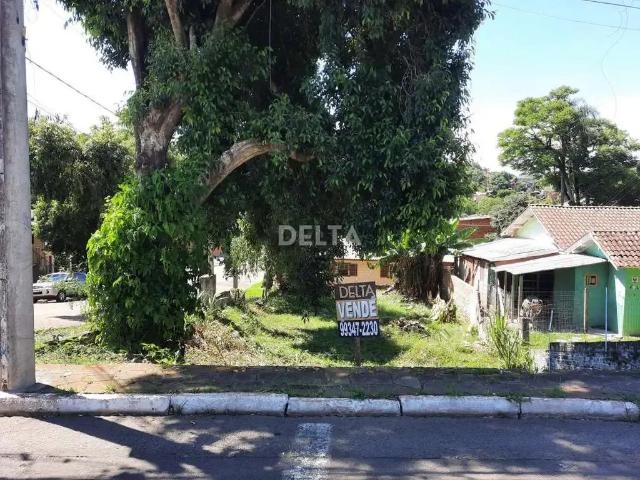 Terreno / Lote para Venda em Novo Hamburgo/RS Guarani