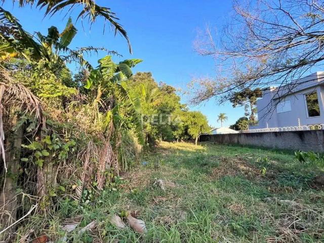 Terreno / Lote para Venda em Novo Hamburgo/RS Hamburgo Velho