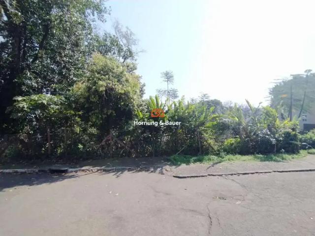 Terreno / Lote para Venda em Novo Hamburgo/RS Hamburgo Velho