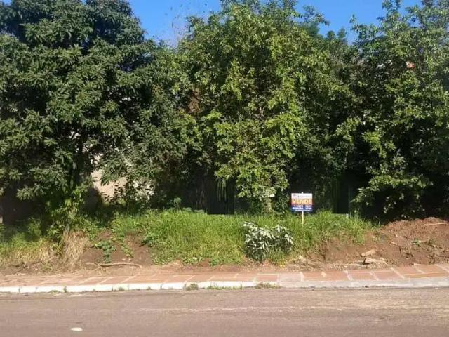 Terreno / Lote para Venda em Novo Hamburgo/RS Ideal