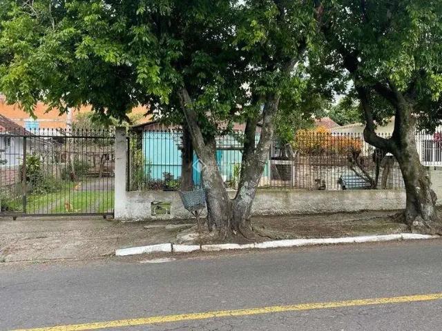 Terreno / Lote para Venda em Novo Hamburgo/RS Ideal