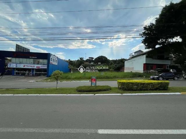 Terreno / Lote para Venda em Novo Hamburgo/RS Ideal