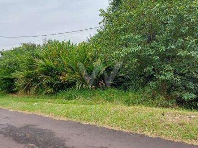 Terreno / Lote para Venda em Novo Hamburgo/RS Ideal