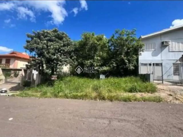 Terreno / Lote para Venda em Novo Hamburgo/RS Ideal