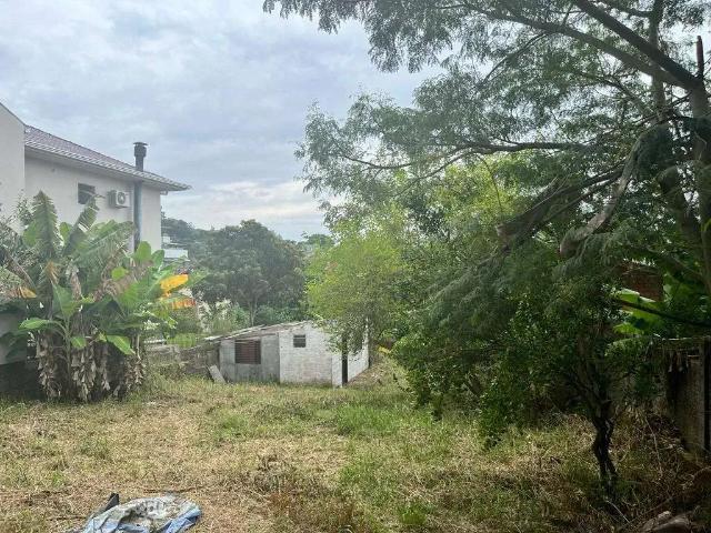 Terreno / Lote para Venda em Novo Hamburgo/RS Ideal