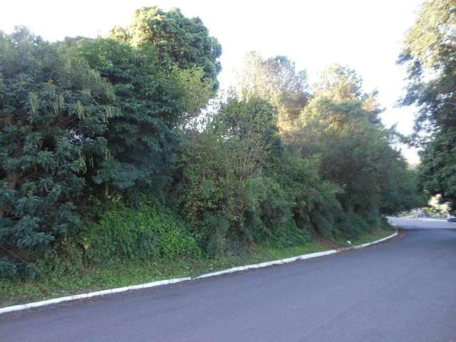 Terreno / Lote para Venda em Novo Hamburgo/RS Jardim Mauá