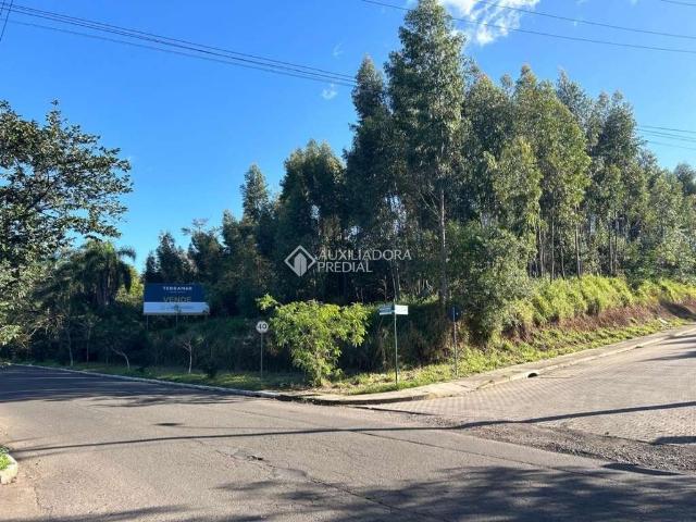 Terreno / Lote para Venda em Novo Hamburgo/RS Operário