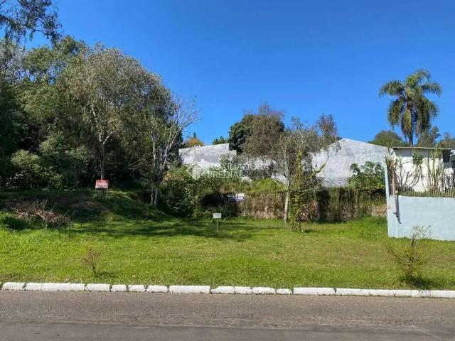 Terreno / Lote para Venda em Novo Hamburgo/RS Operário