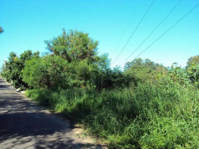 Terreno / Lote para Venda em Novo Hamburgo/RS Operário