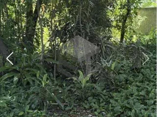 Terreno / Lote para Venda em Novo Hamburgo/RS Liberdade