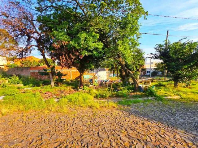 Terreno / Lote para Venda em Novo Hamburgo/RS Liberdade