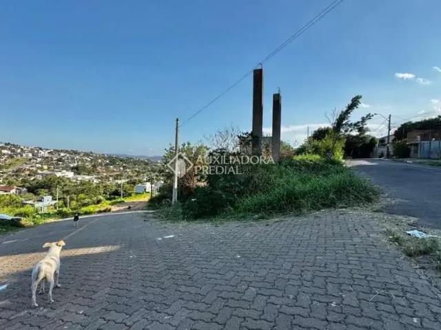 Terreno / Lote para Venda em Novo Hamburgo/RS São José