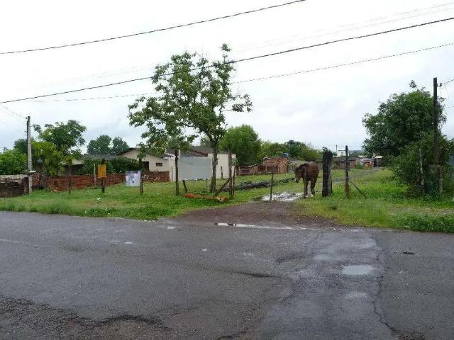 Terreno / Lote para Venda em Novo Hamburgo/RS Santo Afonso
