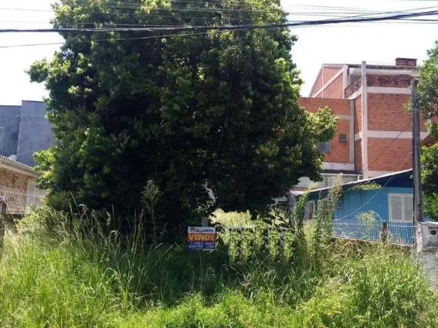 Terreno / Lote para Venda em Novo Hamburgo/RS Pátria Nova