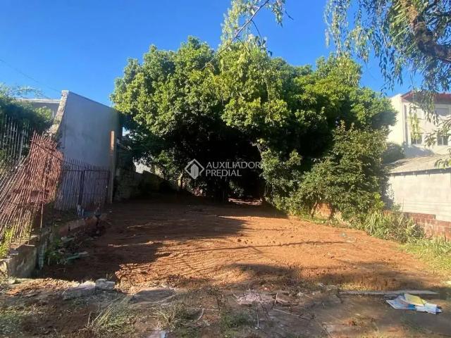 Terreno / Lote para Venda em Novo Hamburgo/RS Pátria Nova